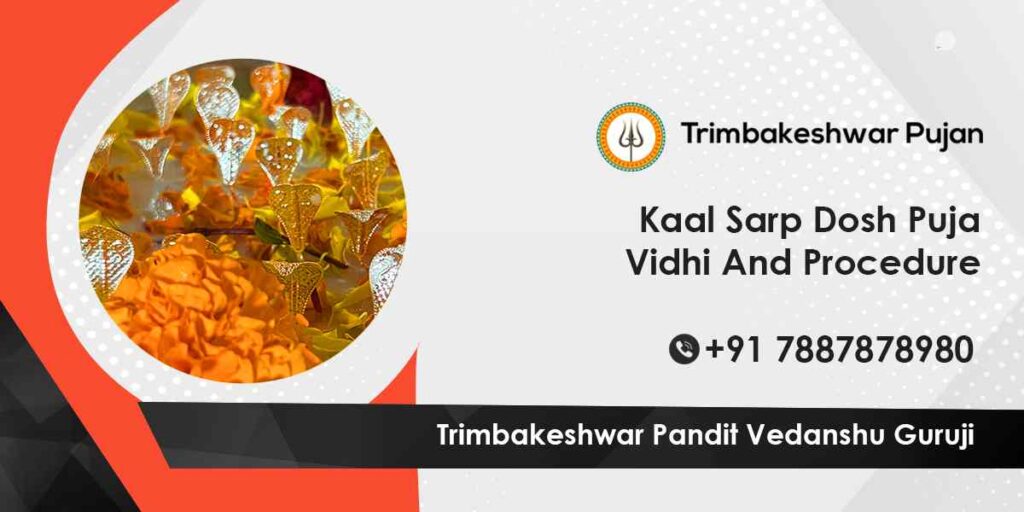 Kaalsarp Dosh Puja Vidhi And Procedure | Trimbakeshwar Pujan